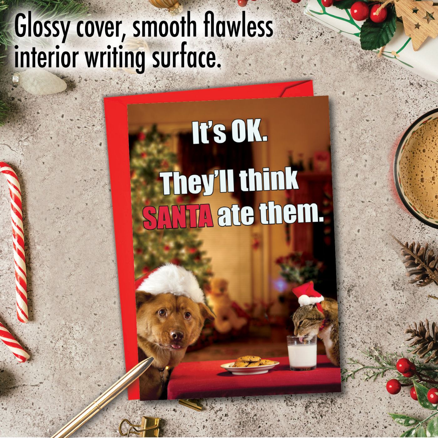 Think Santa Ate Them: Funny Christmas Card - Cat and Dog