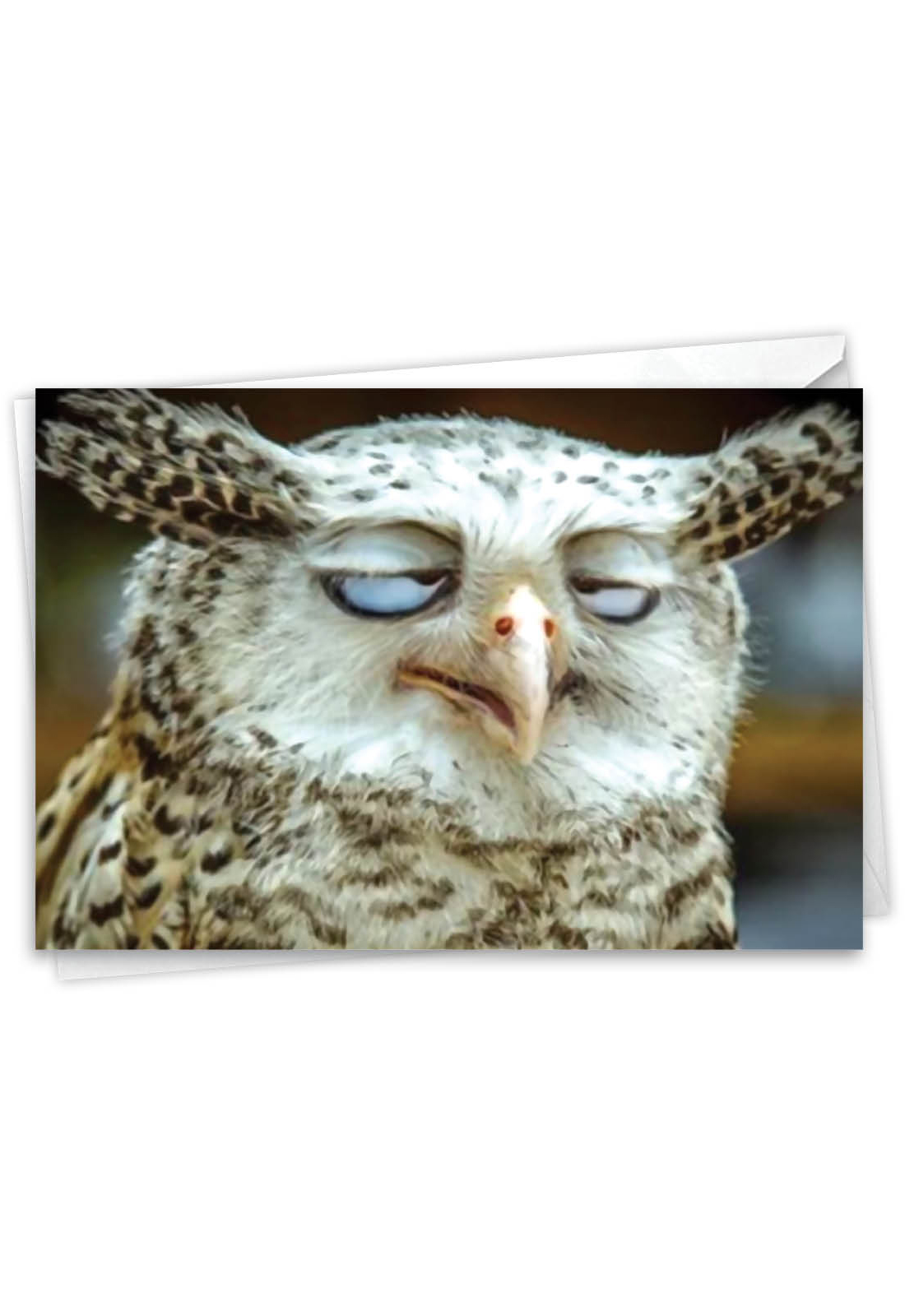 What A Hoot: Creative Graduation Card