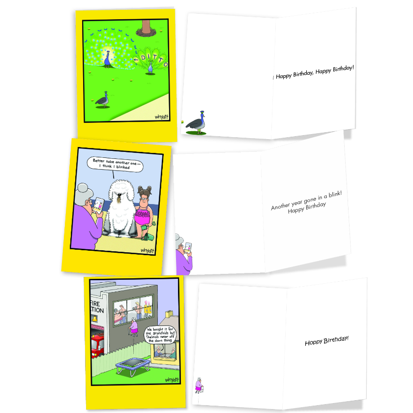 Whyatt's Wide World: Funny Birthday Mixed Set of 10 Cards