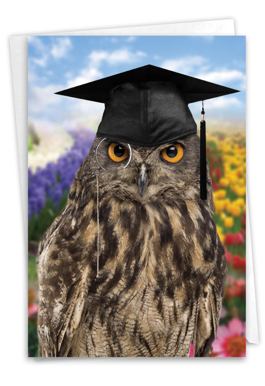 Wise Old Owl Petigreet Graduation Card