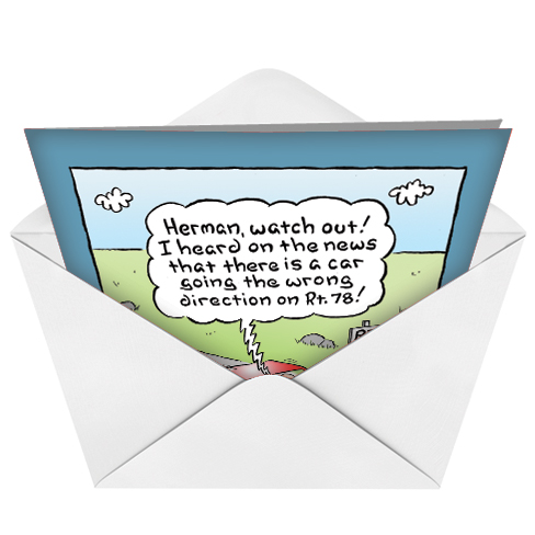 Wrong Way: Humorous Birthday Printed Card