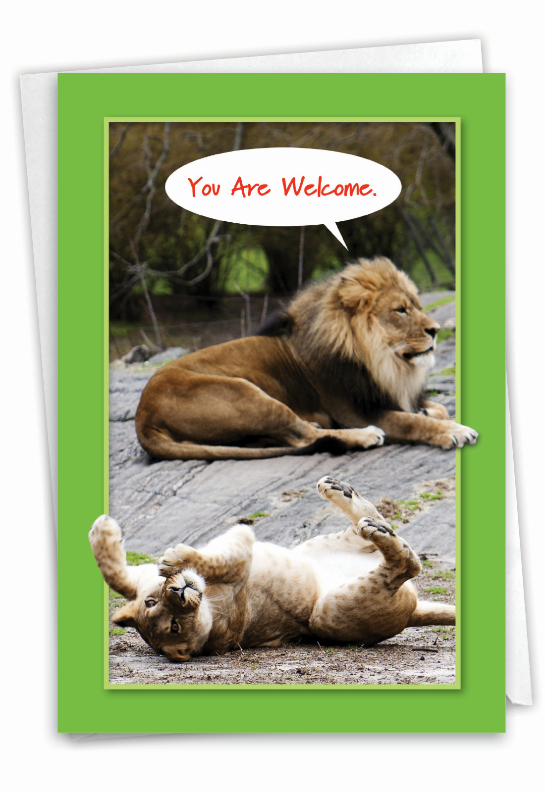 You Are Welcome: Funny Thank You Card - Lion, Liger